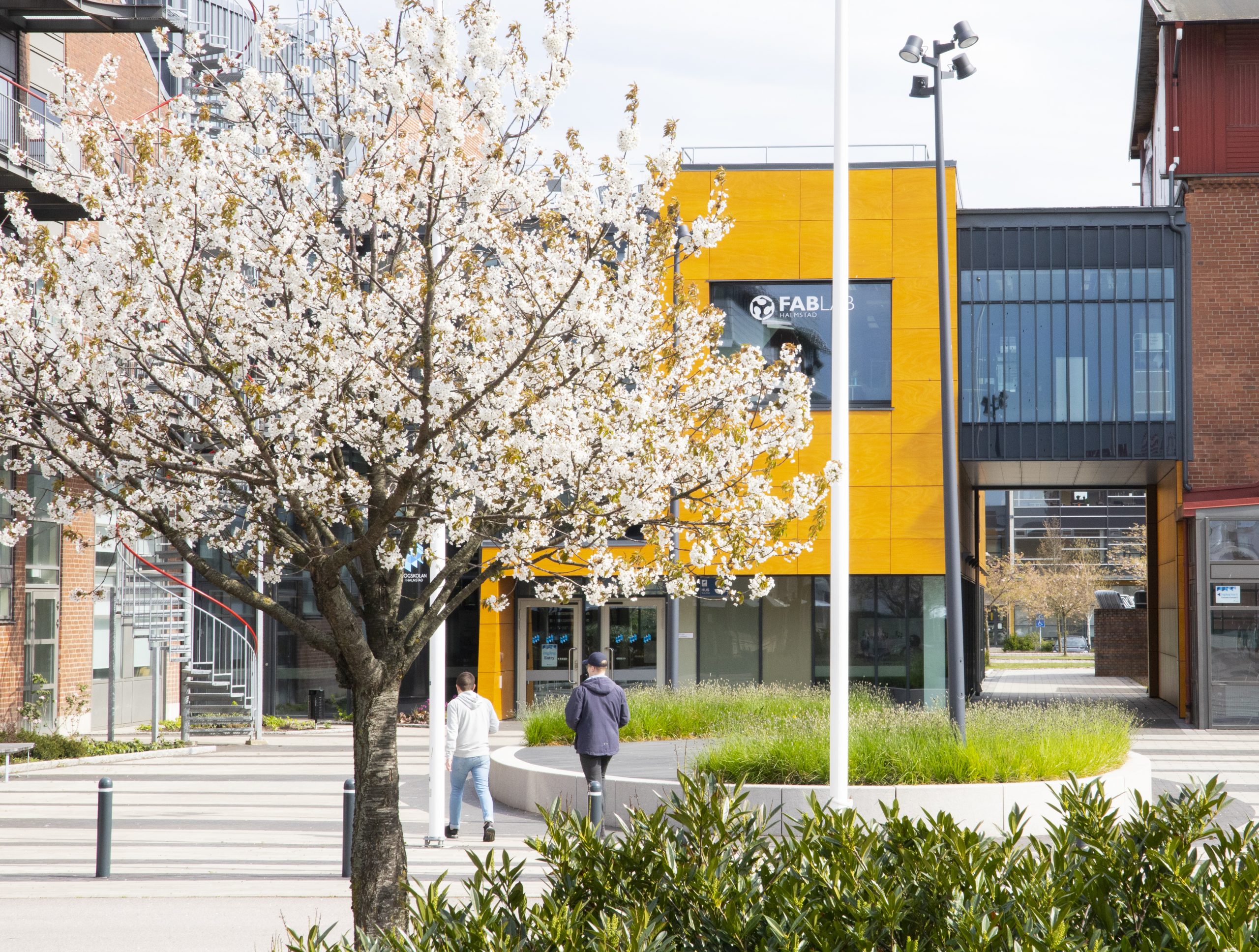 Venue – EAI DLI 2024